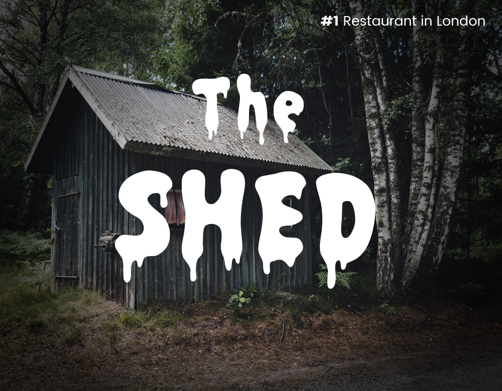 5 Reasons why The Shed shouldn't scare you